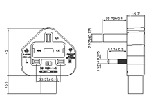 Weihai Honglin Electronic Co., Ltd_BSI